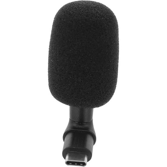 2 Pièces Microphone D'Enregistrement De Tournage Microphone À Main ...