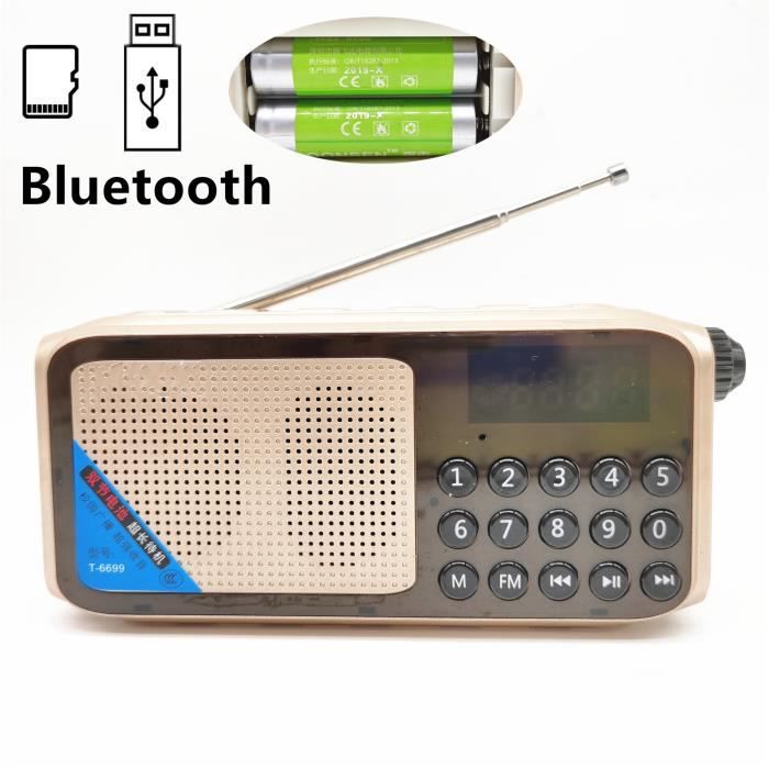 Haut-parleur Bluetooth à 2 piles, Radio FM, lecteur de musique MP3 ...