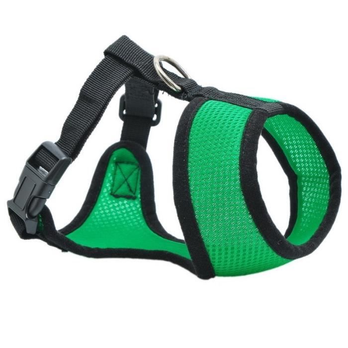 Harnais réglable pour chien et chat - Green - Gilet avec laisse ...
