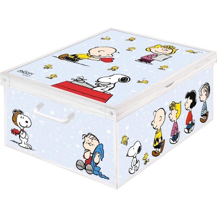 Boite de Rangement avec Couvercle, Boite en carton, Rangement Vetement ...