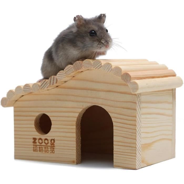 Hamster Nain Maison De Hamster Habitat De Hamster Accessoires De ...