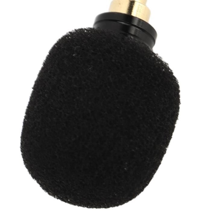 Petit Microphone Mini Microphone Vocal Portable, Petit Micro Pour L ...
