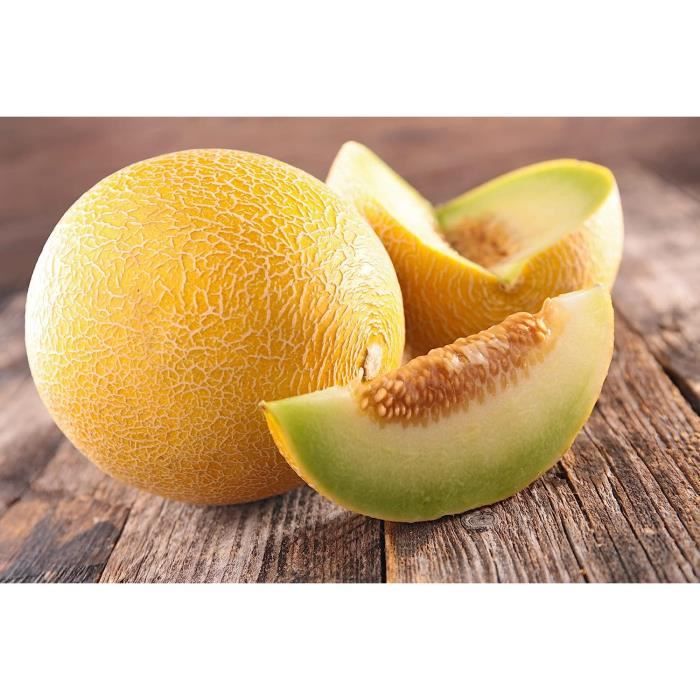 WEYE-Lot de 50 Graines de Melon Ananas - chair orange, sucrée, juteuse ...