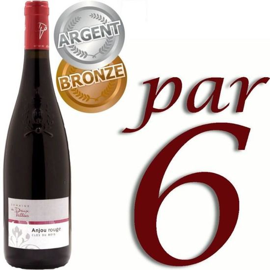 Domaine des Deux Vallées Anjou 2012 vin rouge x6 - La cave Cdiscount