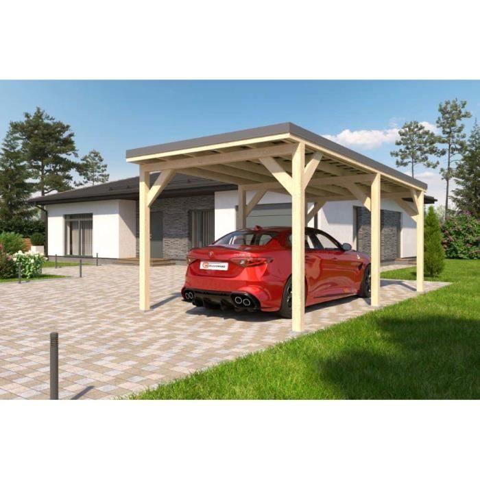 Carport Holz 3x6m