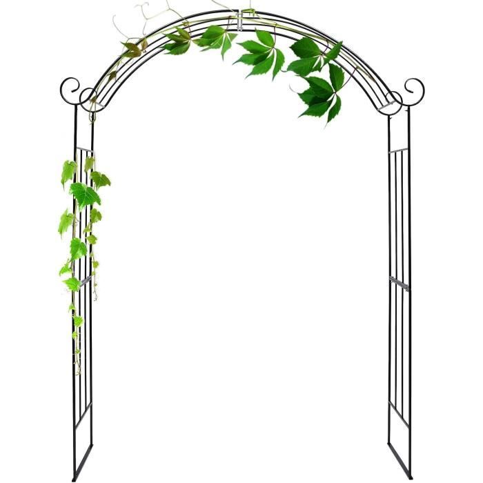 Arche de rosesarche de jardinplantes grimpantesarche de jardin en ...