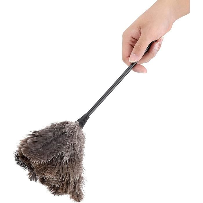 Plumeau, Mini Plumeau en Plumes D'autruche Réutilisable Lavable à la ...