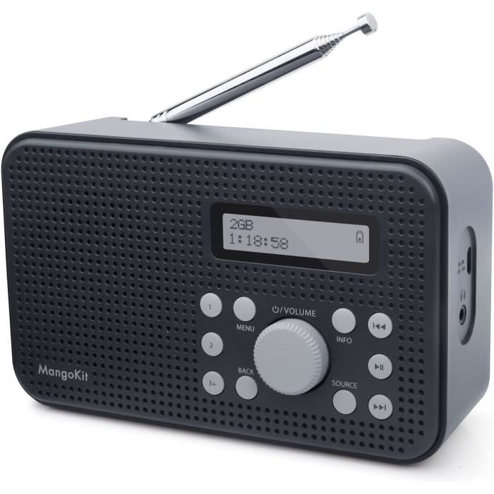 Mp2 Dab-Dab+ Et Radio Fm, Alimentation Secteur Et Batterie, Radio Numérique Portable, Radio ...