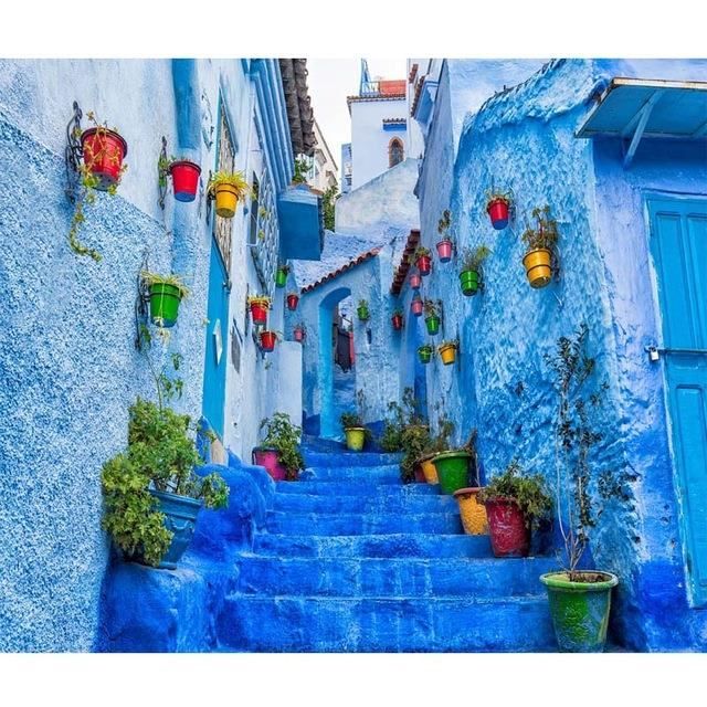 Bluestone Road Kit de peinture acrylique DIY pour adultes, 16 x 20 ...