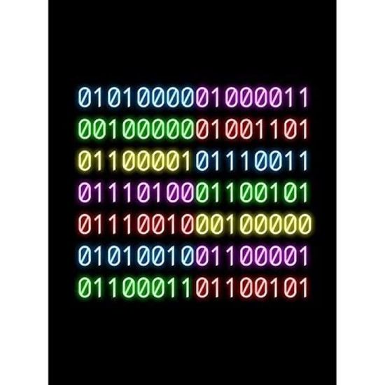 Binary Pc Master Race Neon Nerd Joke Humour Quote Unframed Art Print Poster Wall Decor 12X16 ...