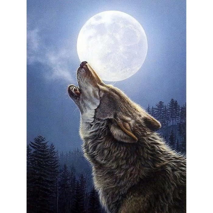 5D Kit Complet De Broderie Diamant Loup - Peinture Diamant Animal Rond ...