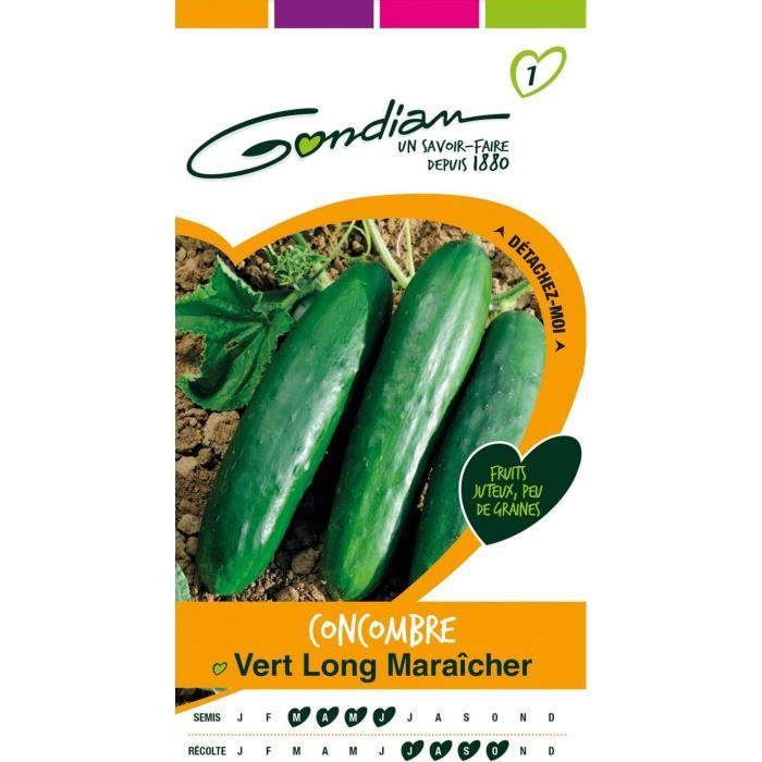 152290 Semences-Concombre Vert Long Maraicher-CP 1, 1x8.1x16 cm[1143 ...