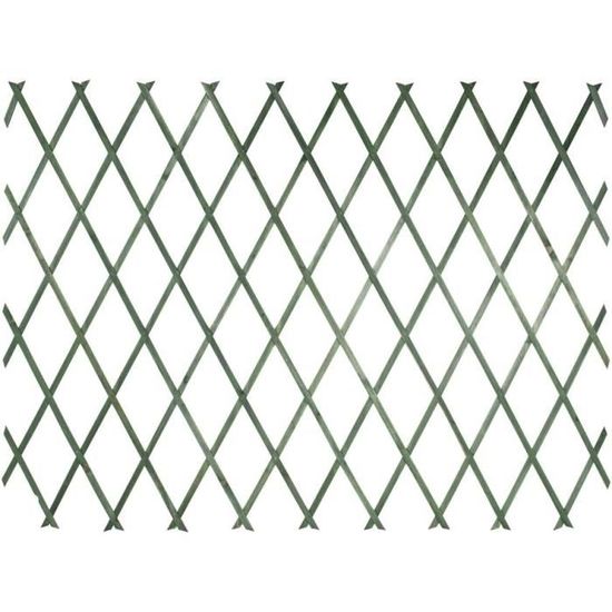 Treillis extensible eois vert dimensions 100 x 200, couleur Vert12 ...