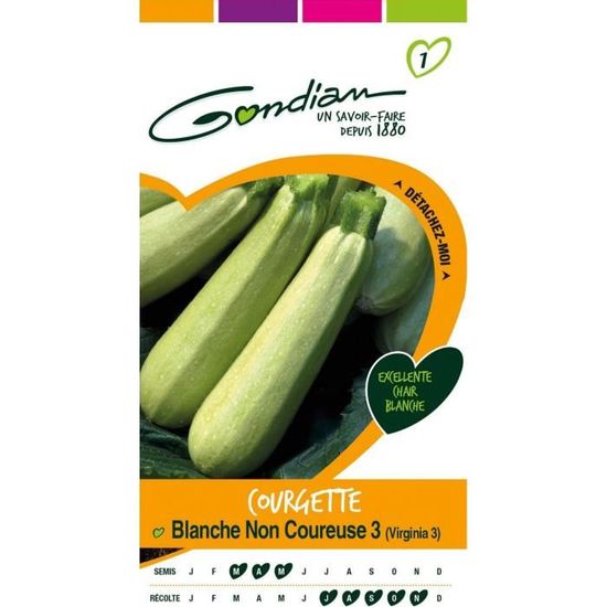 WEYE-152415 Semences-Courgette Blanche Non Coureuse 3 (Virginia 3) -CP ...