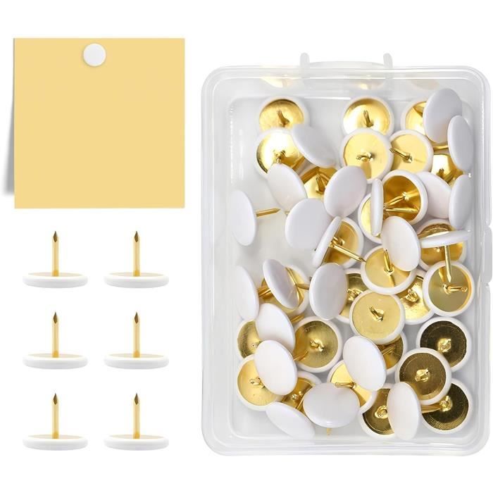 Jeu de 100 punaises à Dessin avec boîte de Rangement en Plastique ...