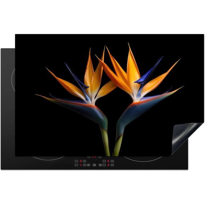 Ehskzjh © Protection Plaque Induction 80X52 Cm Protege Deco Cuisine ...