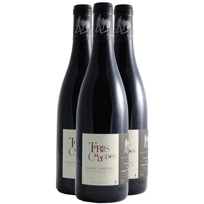 Domaine des Roches Neuves Saumur-Champigny Terres Chaudes 2020 - Vin ...
