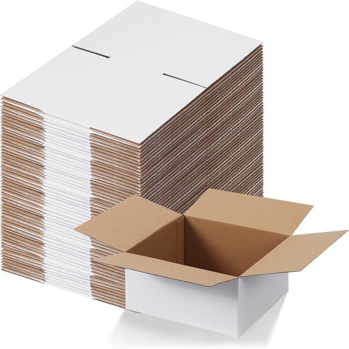 EYMPEU Carton Emballage Colis 20,3x20,3x10,2 cm, Lot de 40 Boites ...