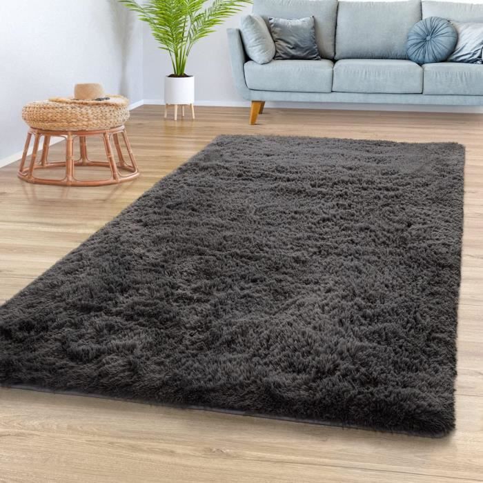 Tapis De Salon Tapis Shaggy Poil Long Doux Peluche Design Moderne Monochrome, Couleur: Gris ...