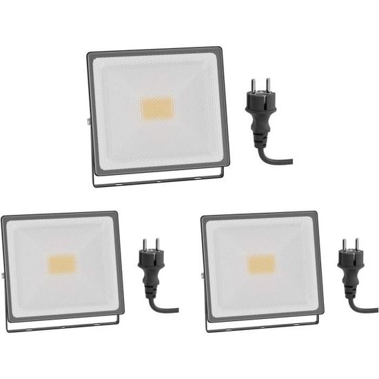 Projecteur extérieur à LED FLIN, projecteur, étanche IP66, avec fiche ...