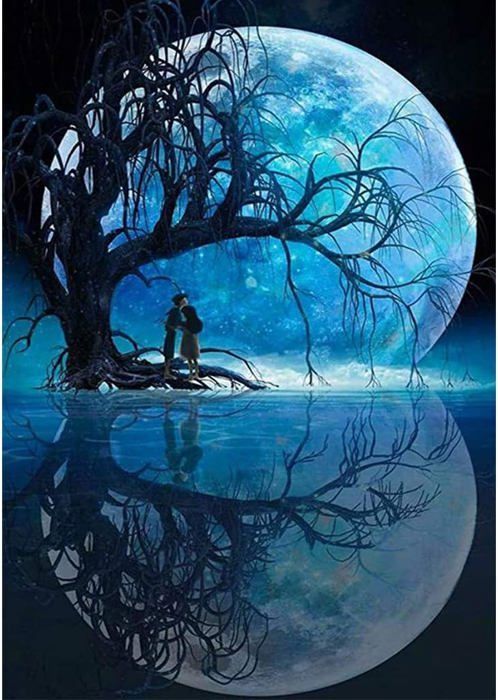 5D Diamond Painting Kit, 40X30Cm Pleine Lune Bleue Diamant Painting Kit Complet Lune Painting ...