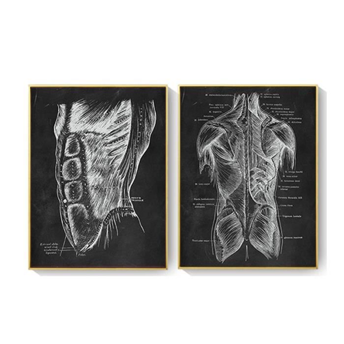 Affiche murale - Two Pictures - Anatomie humaine - Squelette - 60x90cm ...