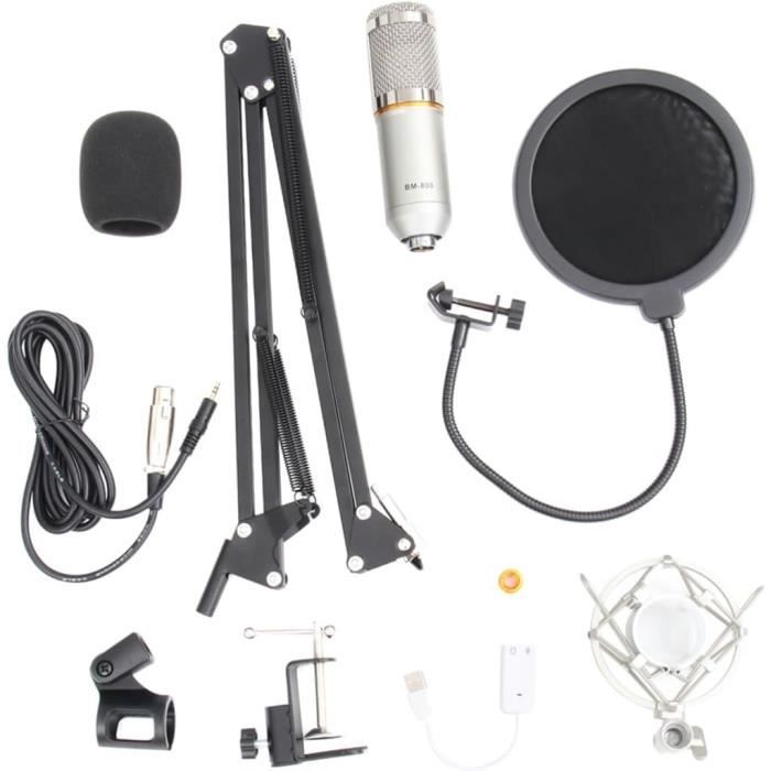 Trousse D'Atelier Microphones À Condensateur Micro Professionnel Micro ...