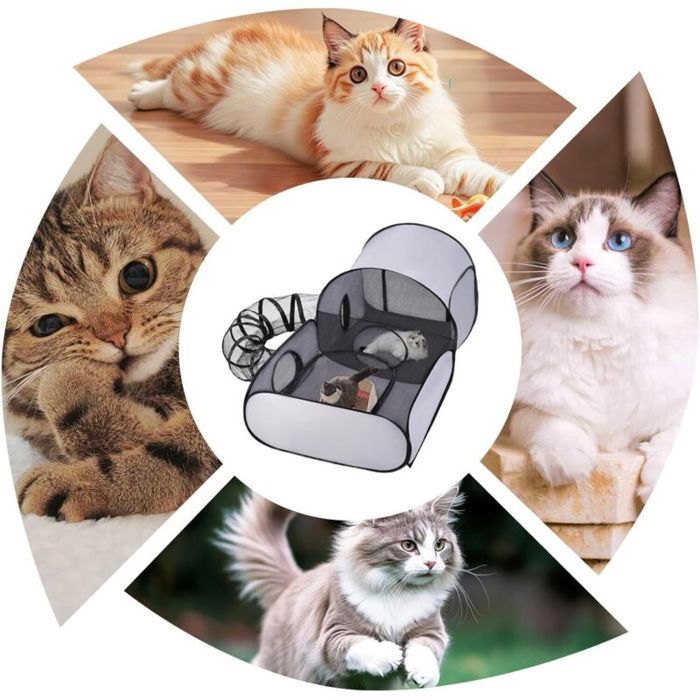 Parc pour Chats Portable, Tunnels d'Activités pour Chats Et - Cdiscount