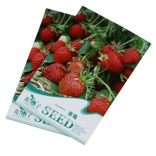 100pcs Graine Fruits Fraise Rouge Escalade My00066 - Cdiscount Jardin