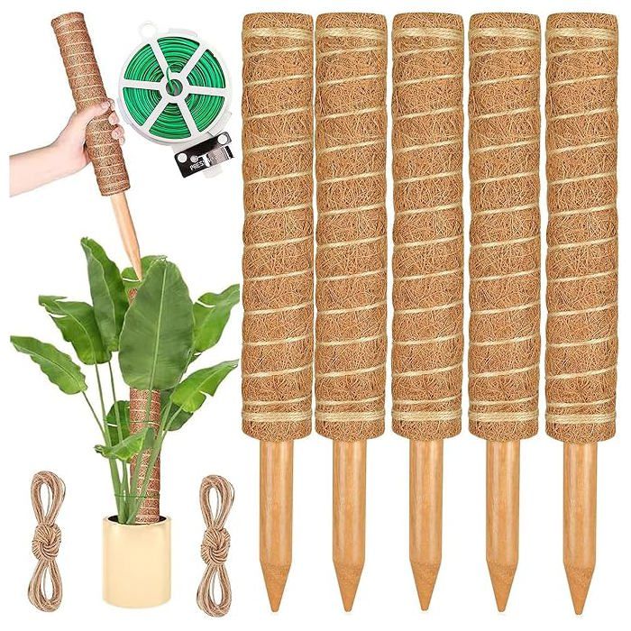 5 Pièces Tuteur Monstera, Tuteur en Mousse de 40 cm pour Plantes ...