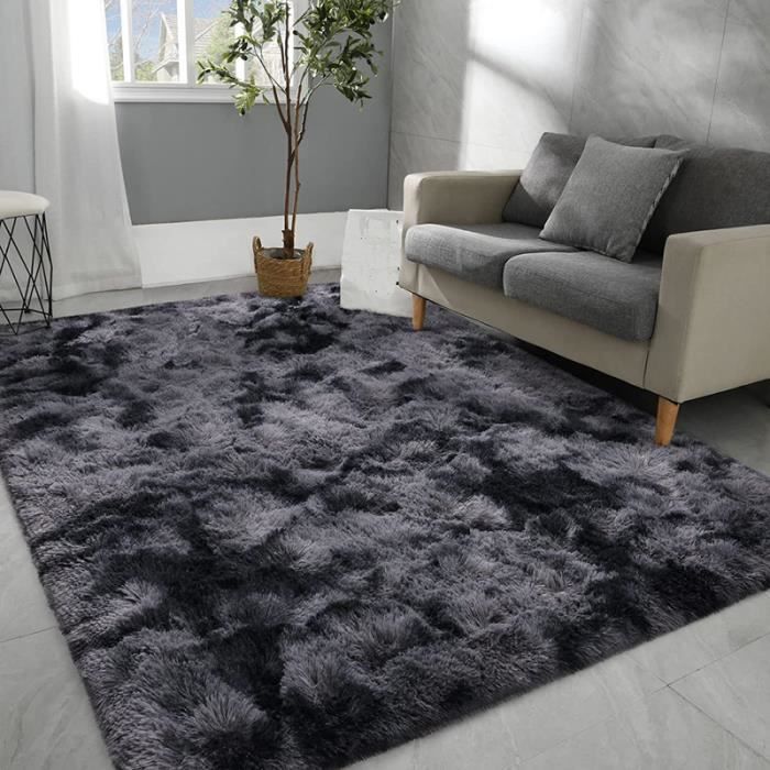 Tapis Gris foncé Peluche 120x160cm - Moelleux Shaggy Tapis de Sol - Tapis de Chambre Salon ...