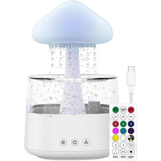 Humidificateur De Champignon, Diffuseur De Pluie De Nuage Réutilisable ...
