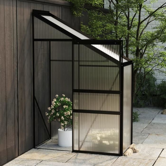 Serres de jardin - anthracite et transparent - aluminium et panneau de ...