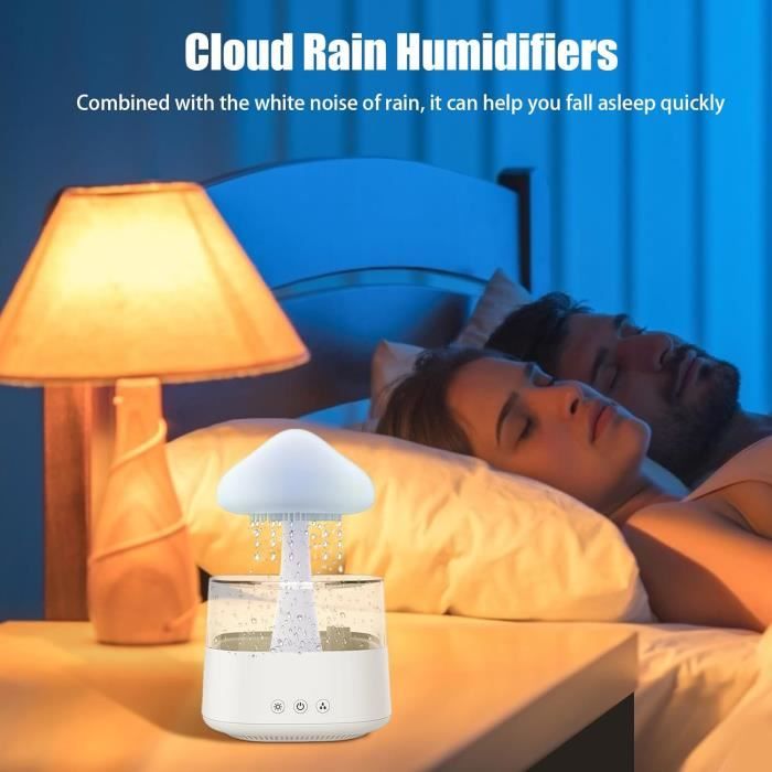 Humidificateur De Champignon, Diffuseur De Pluie De Nuage Réutilisable ...