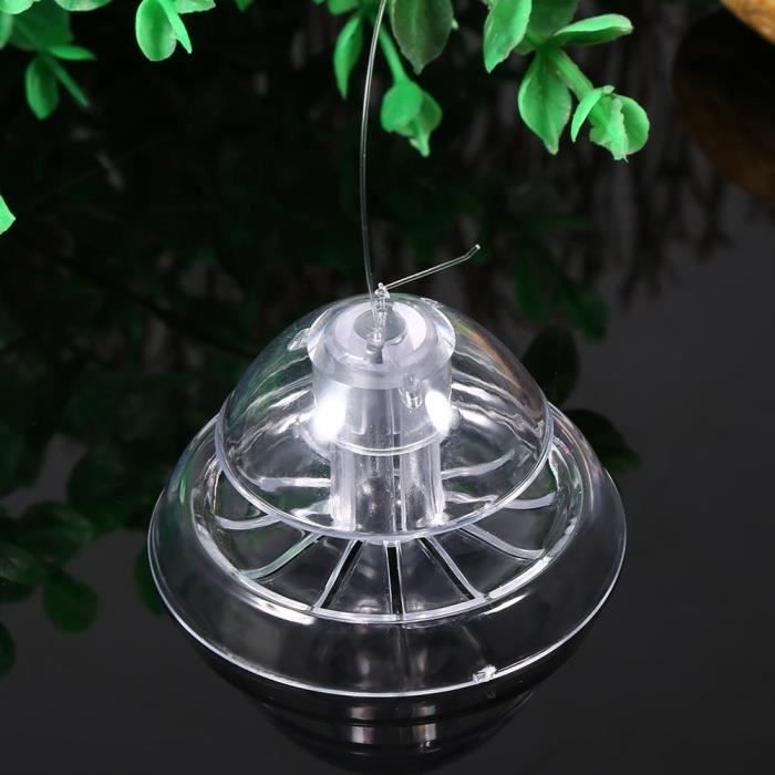 Réservoir plantée Pièges à insectes escargot est pris top - Cdiscount ...