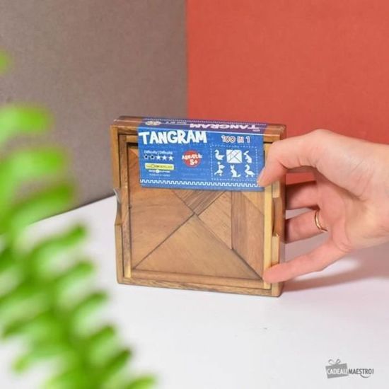 Casse-Tête Formes Géométriques - Cadeau Maestro - Cdiscount Jeux - Jouets