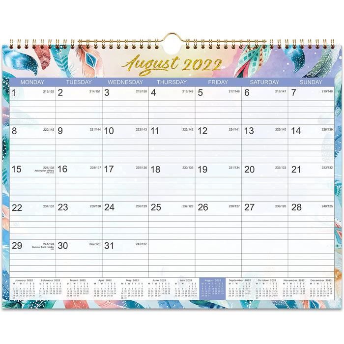 Calendrier 2022 - calendrier mural 2022, calendrier mural 18 mois avec papier épais, janvier ...