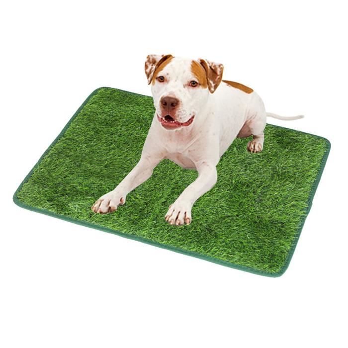 Fafeicy Tapis de pipi pour chien en gazon artificiel Tapis de Pipi en ...