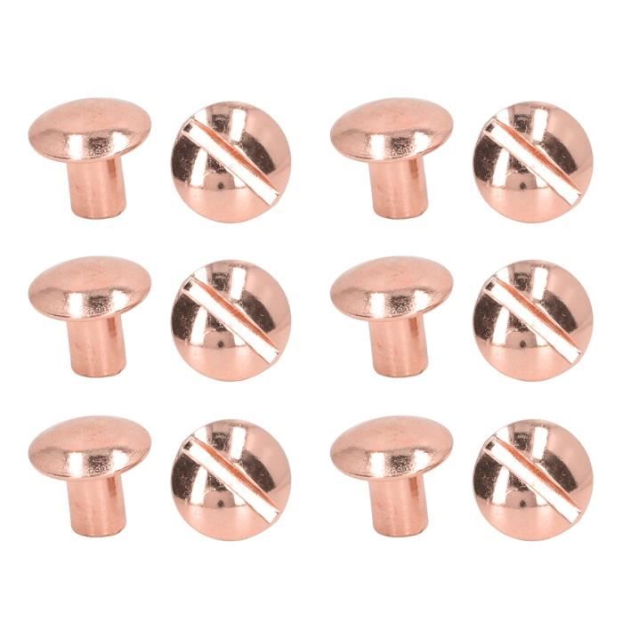 Vis de reliure de livre Boulon à riveter en métal, vis à reliure ...