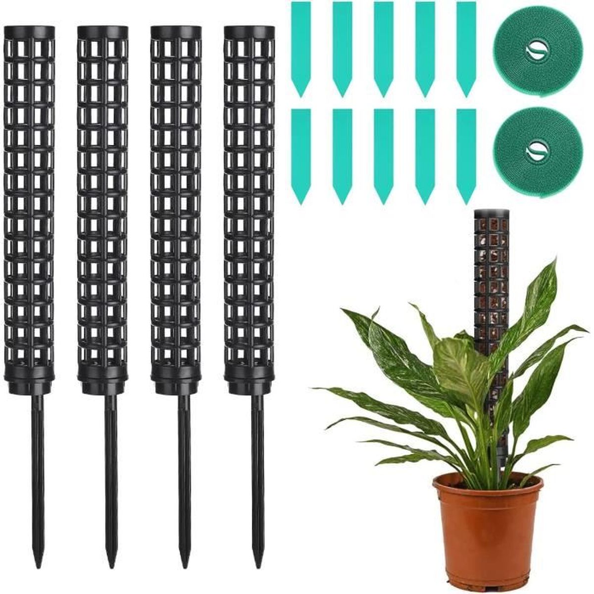 4 Pièces Tuteur Monstera,Poteau Tuteur Plante en Pot,Monstera,Tuteurs ...