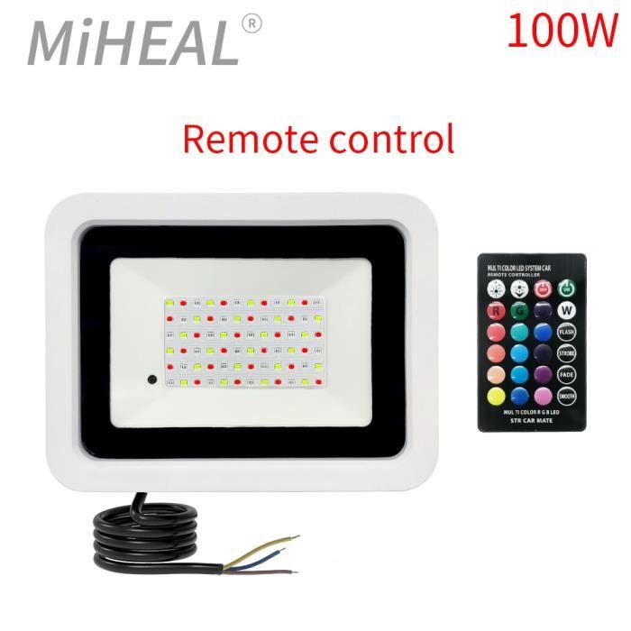 PROJECTEUR EXTERIEUR,24key Remote Control-50W-black shell--Projecteur ...