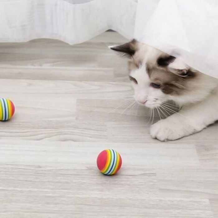Balle Chat en Mousse, 20 Pcs Chat Jouets balles Boule d'arc-en-Ciel de ...