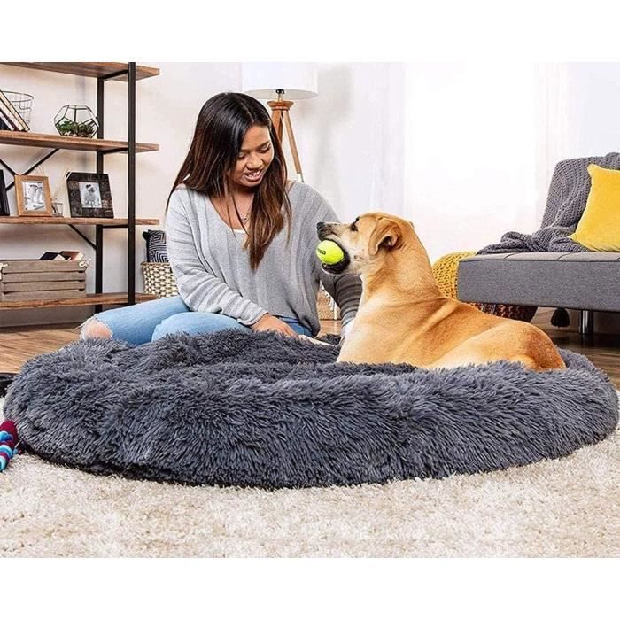 Moelleux Tapis Chien Coussin Xl, Xxl Orthopedique Panier Chien Anti ...