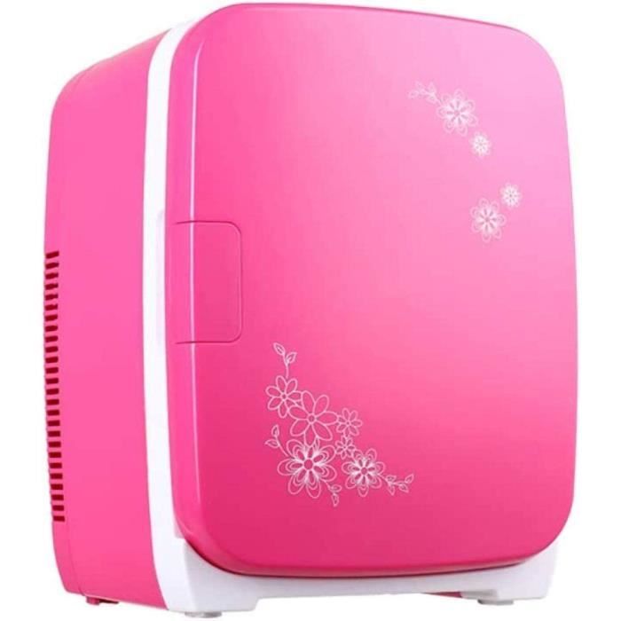 Frigo RFrigRateur Voyage en plein air Portable 12v 220v 15 litres Mini ...