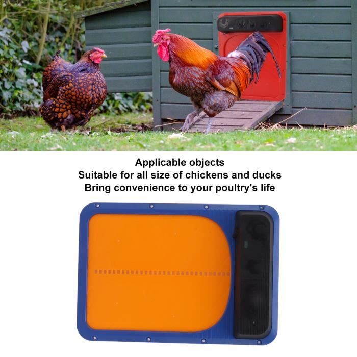 Porte de poulet solaire Porte de poulailler automatique à énergie solaire avec capteur de ...