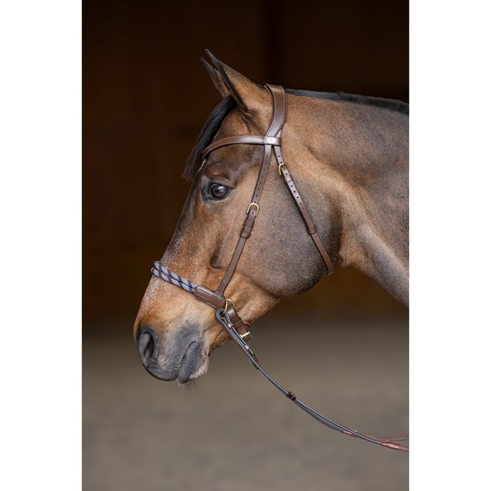 Bridon équitation anatomique sans mors HFI Freedom - Marron - Cob ...
