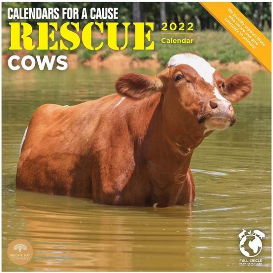 Bright Day Calendrier mural 2022 Motif vaches de sauvetage 30,5 x 30,5 cm[785] - Cdiscount Beaux ...