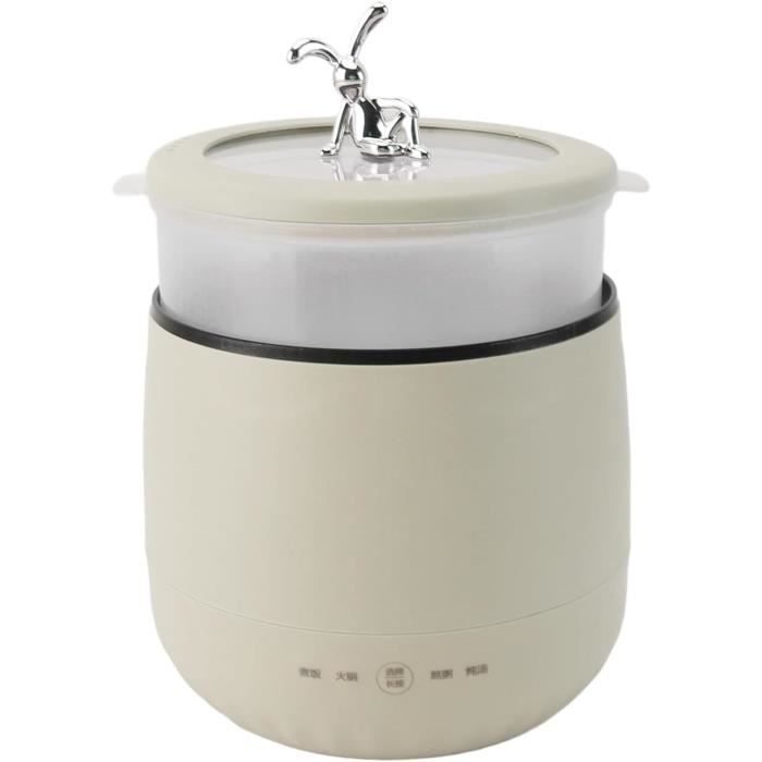Cuiseur À Riz Électrique, Marmite Électrique Antiadhésive De 1,8 L À ...