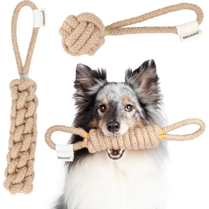 Corde Chien Indestructible - Set de 3 pièces en Chanvre 100% Naturel ...