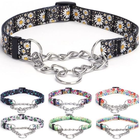 Martingale Collier Pour Chien - Chaîne En Acier Inoxydable - Collier De ...